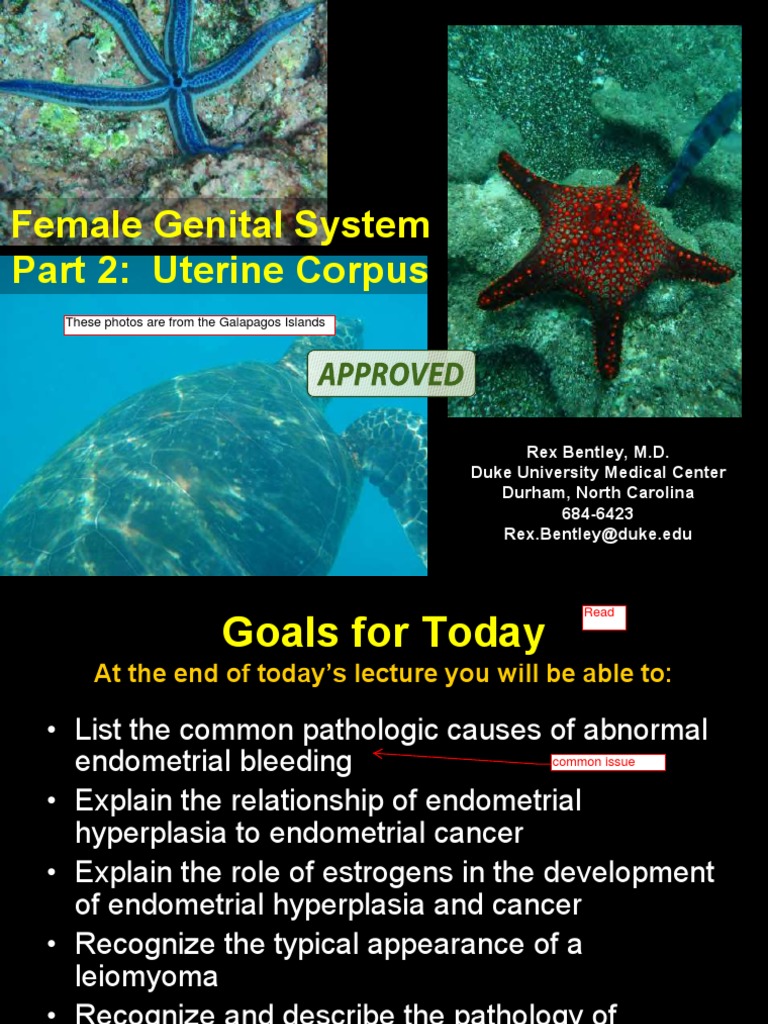 05.31.3 Pathology of The Female Reproductive System II Final PDF | PDF ...