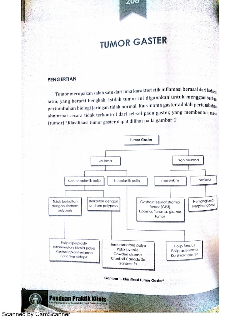 Tumor Gaster | PDF