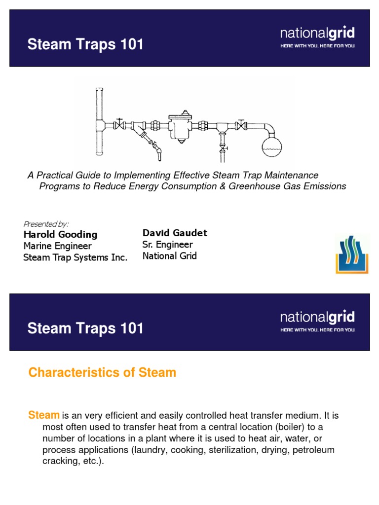 Effective Steam Trap Maintenance Guide | PDF | Steam | Heat