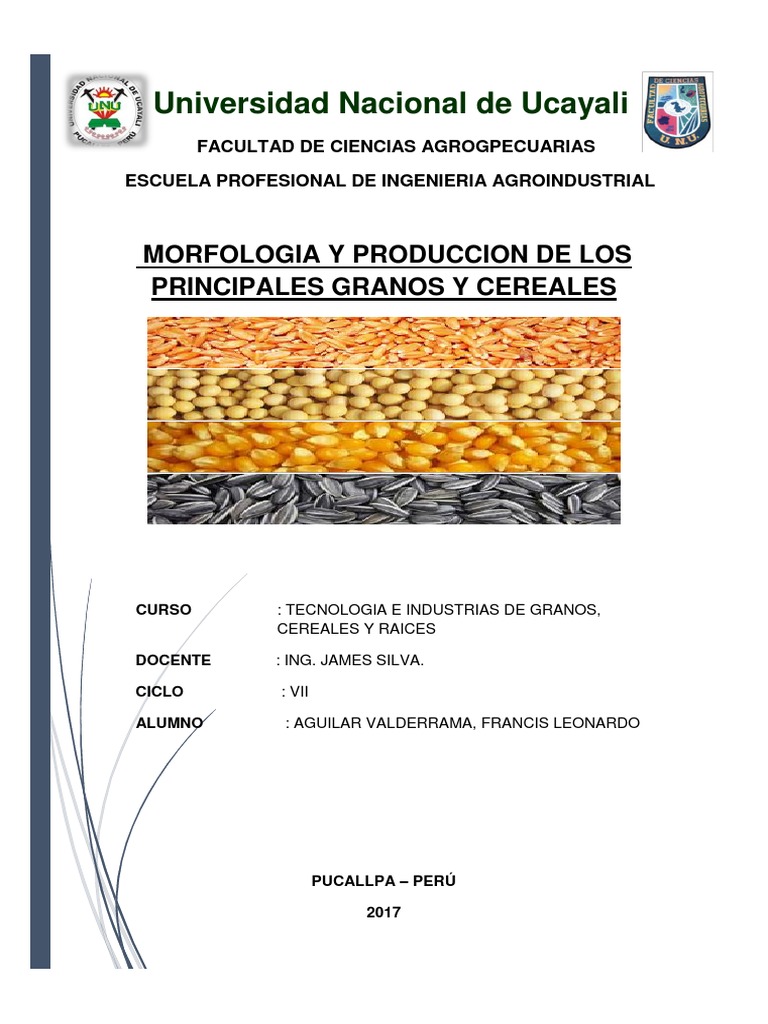 Producción y morfología de granos y cereales | PDF | Cebada | Cereales
