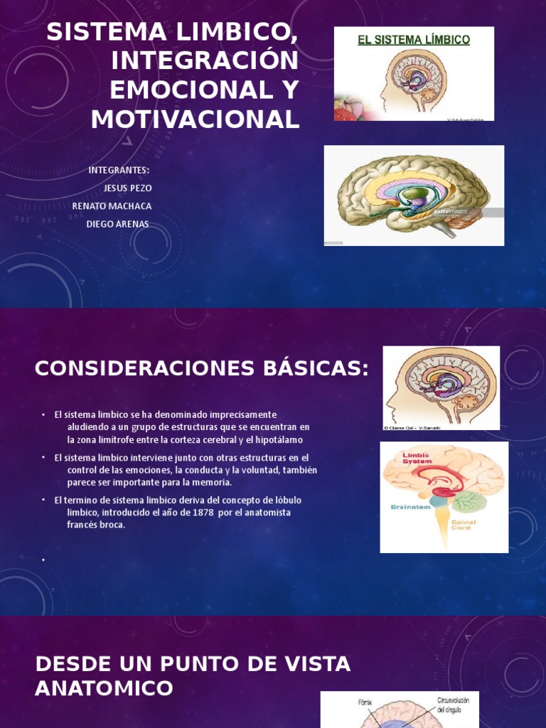 Sistema Limbico, Integración Emocional y Motivacional | PDF | Sistema límbico | Las emociones