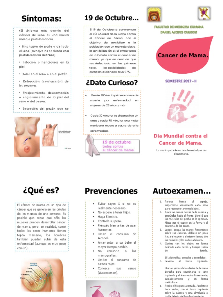 Triptico Ca de Mama - Dra Guerrero - 'Perfecto | PDF | Pecho | Cáncer de mama