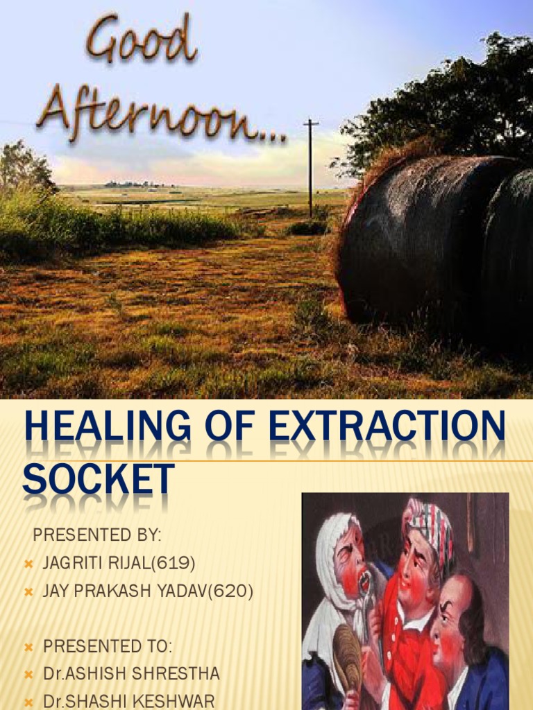 Healing of Extraction Socket | PDF | Healing | Bone