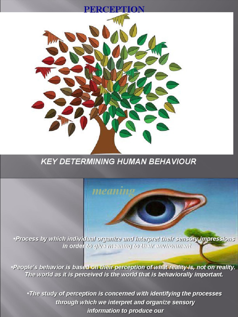 Key Determining Human Behaviour | PDF | Perception | Bias