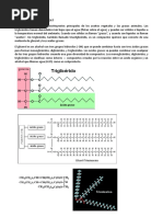Sintesis Trioleina Completa | PDF