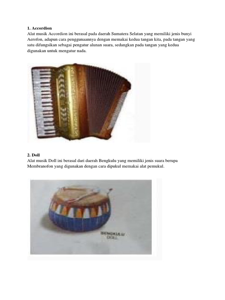 Alat Musik Tradisional Sumatera Selatan Accordion