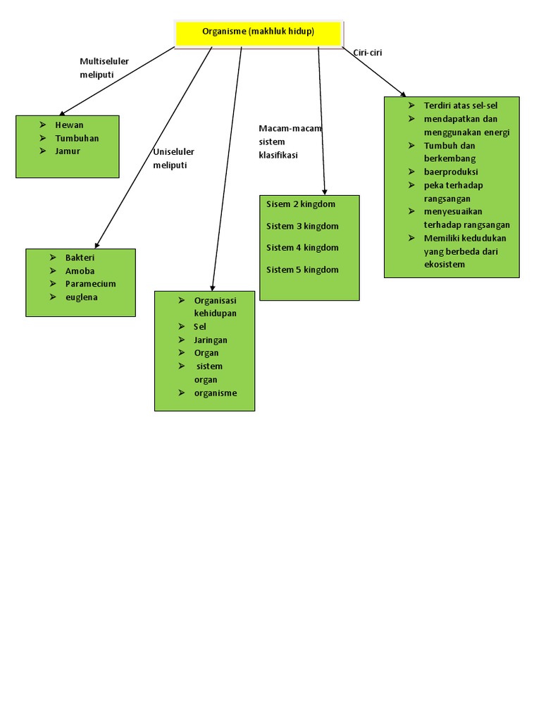 Karakteristik Organisme Multiseluler | PDF