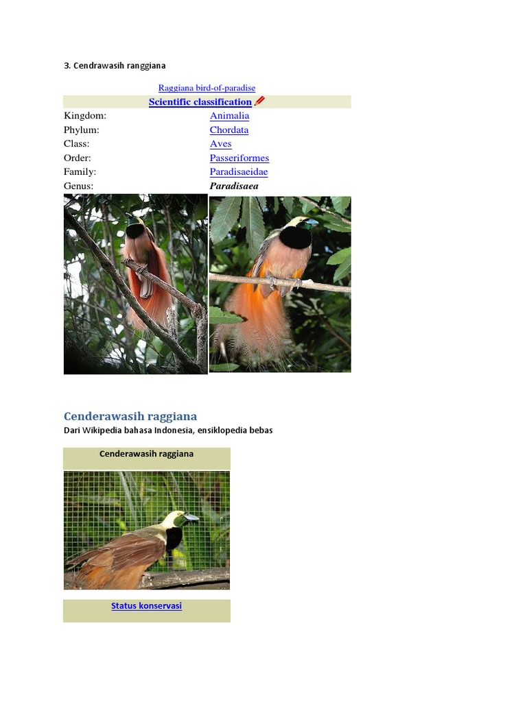 Klasifikasi Cendrawasih | PDF