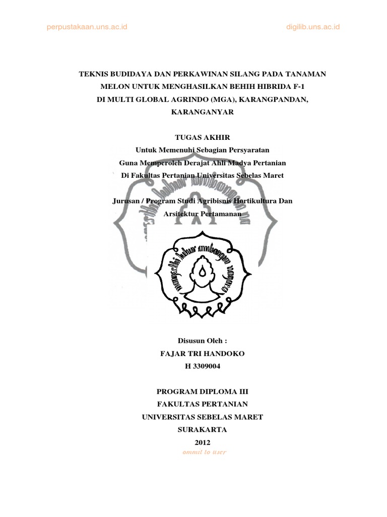 Budidaya dan Hibridisasi Melon | PDF