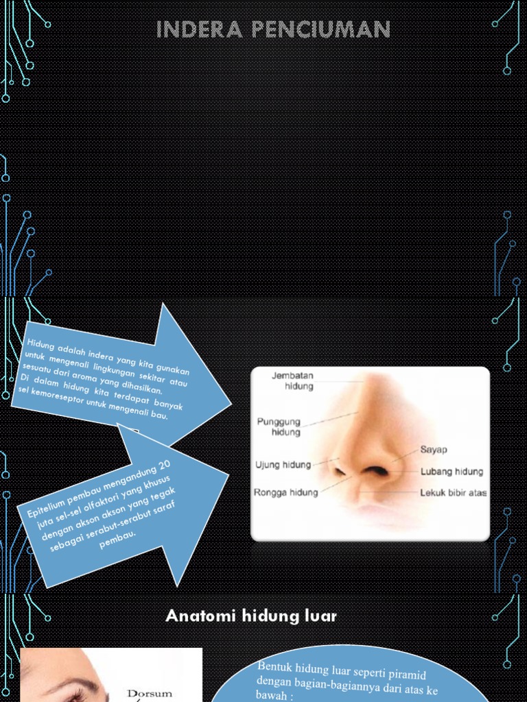 PPT Indra Penciuman | PDF