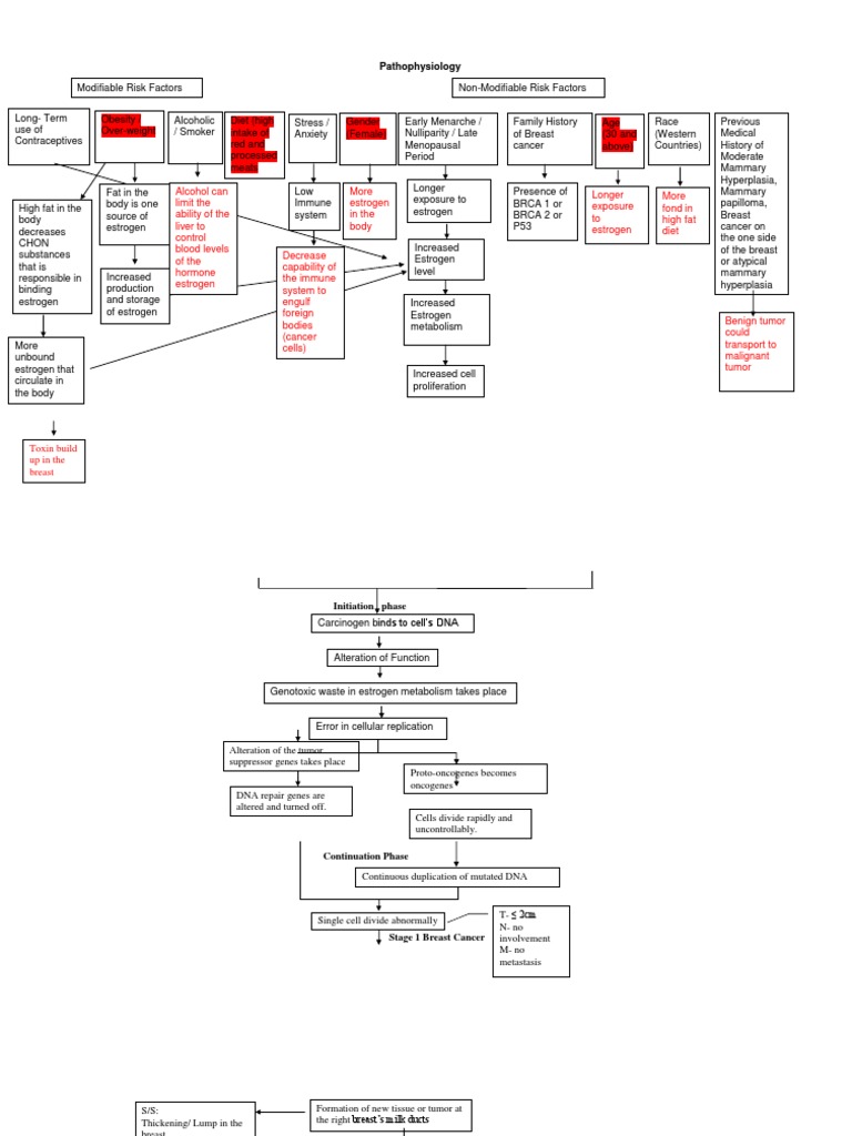Breast Cancer Pathophysiology Overview | PDF | Metastasis | Breast Cancer