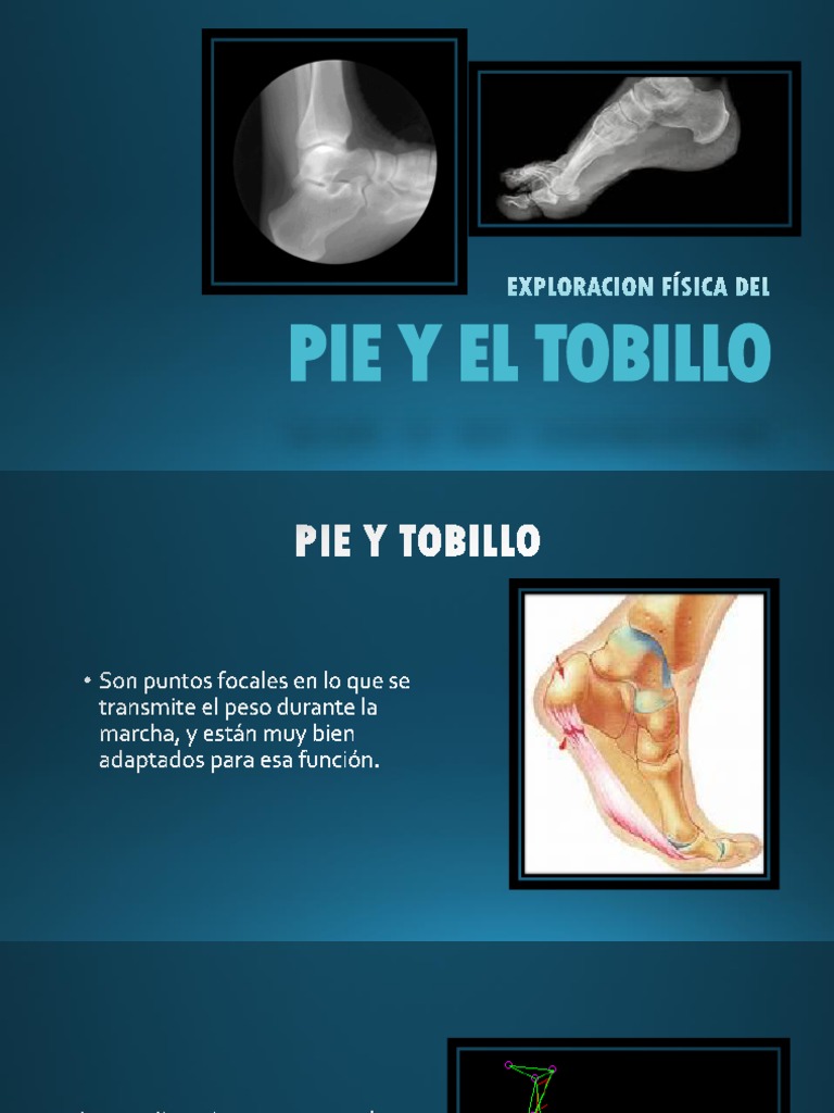 Guía Completa del Pie y Tobillo | PDF