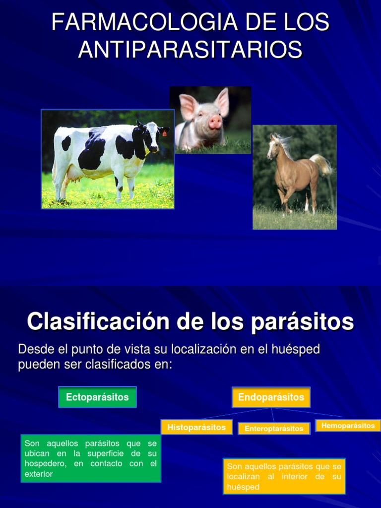 Mecanismo de Accion de Los Antiparasitarios | Acetilcolina | Parasitismo