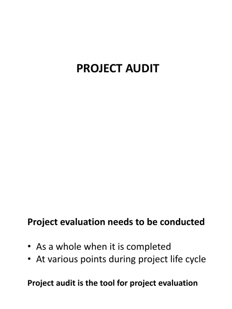 Project Audit | PDF | Life Cycle Assessment | Audit