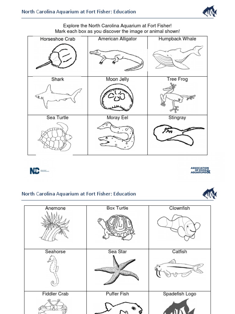 North Carolina Aquarium at Fort Fisher: Education | PDF | Wellness