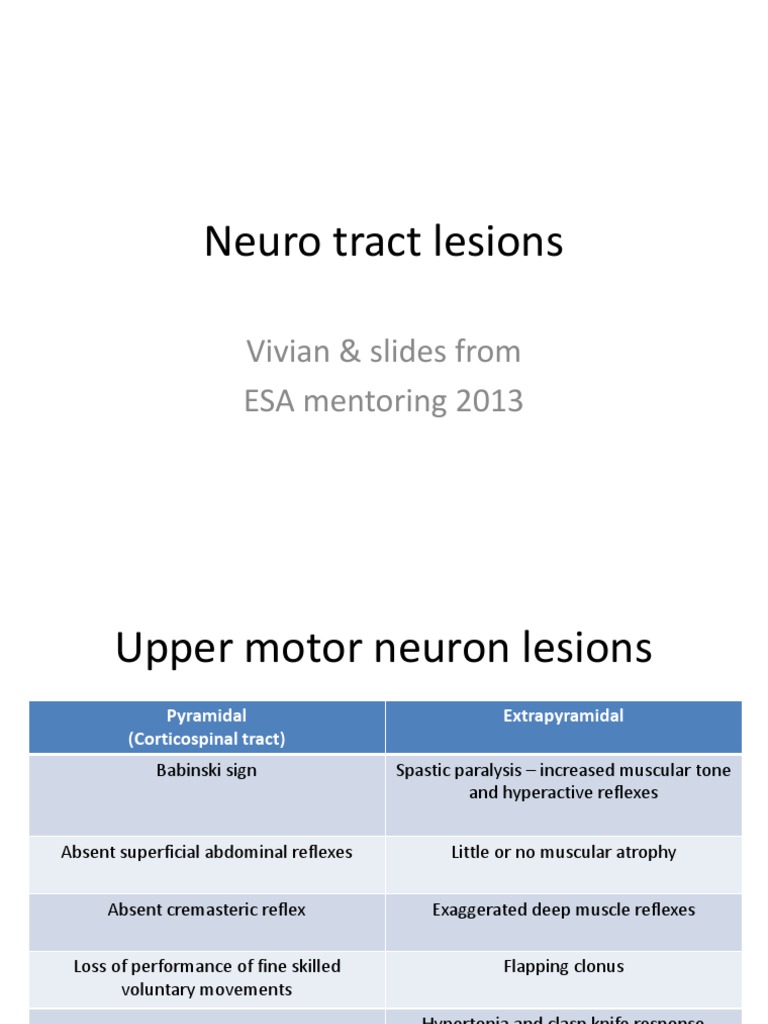 Neuro tract lesions guide for UMN, LMN deficits | PDF | Neuroanatomy ...