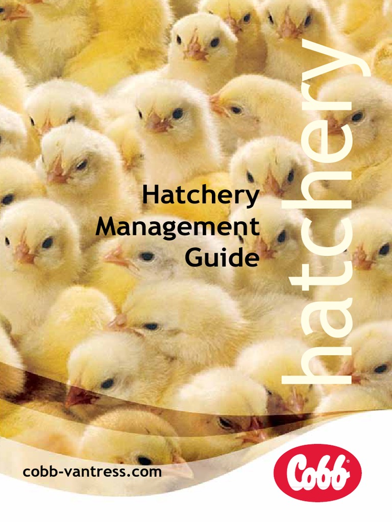 Cobb Hatchery Management Guide | PDF | Altitude | Chicken