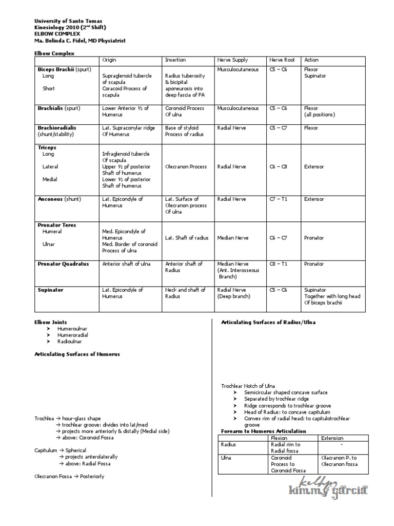 Elbow Complex Anatomy and Function | PDF | Elbow | Anatomical Terms Of ...