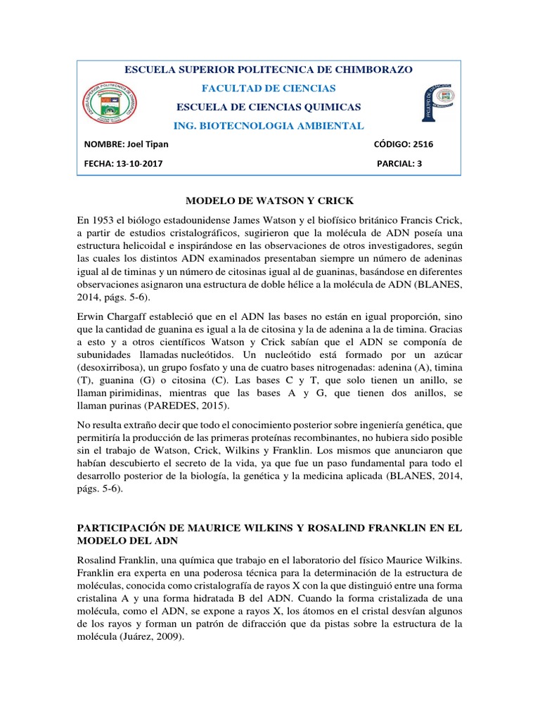 Modelo de Watson y Crick | PDF | Francis Crick | Adn