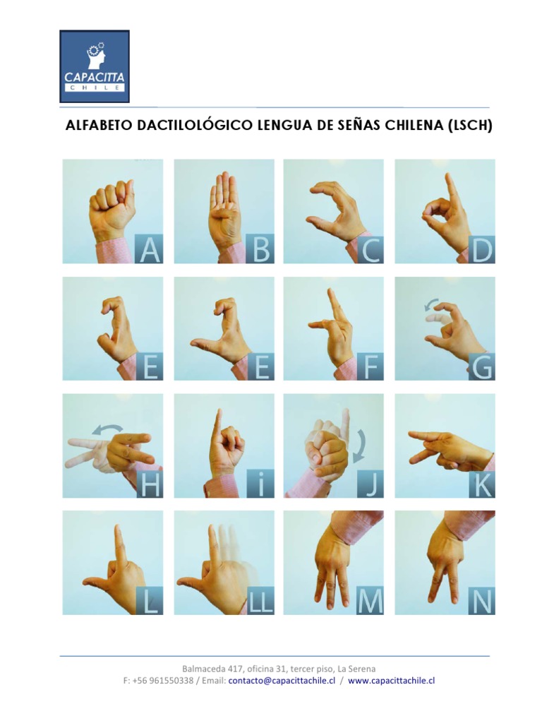 Alfabeto Dactilológico LSCH | PDF