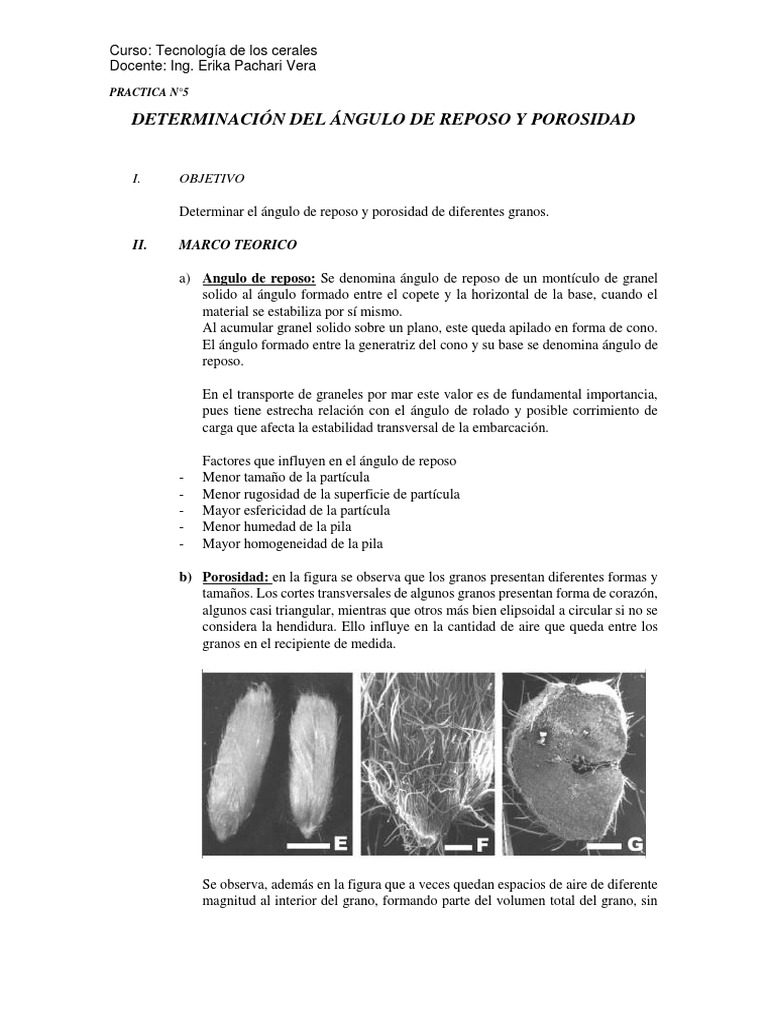 Nro 5 - Angulo de Reposo y Porosidad | PDF | Densidad | Masa