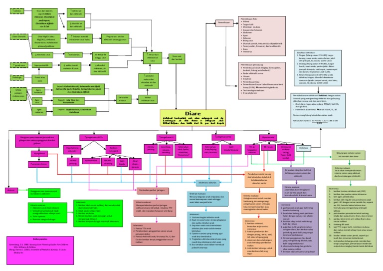 WOC Diare | PDF