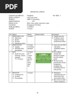 Program Latihan Harian Futsal | PDF