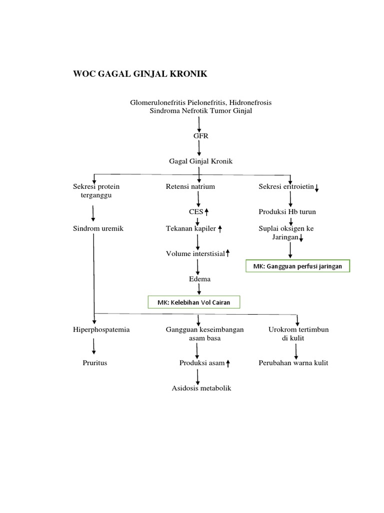 Woc Gagal Ginjal Kronik | PDF