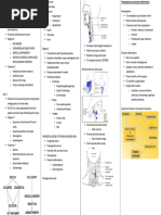 Vocal Cord Dysfunction - Questionnaire (VCD-Q) | PDF | Epidemiology ...