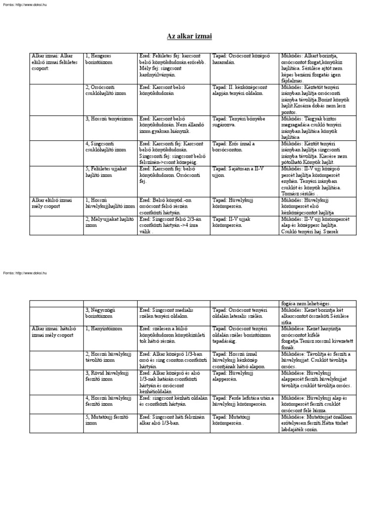Az Alkar Izmai | PDF