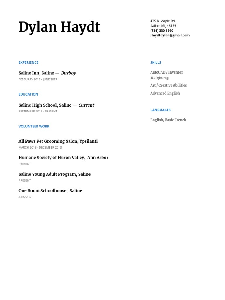 Dylan Haydt's Resume Overview | PDF