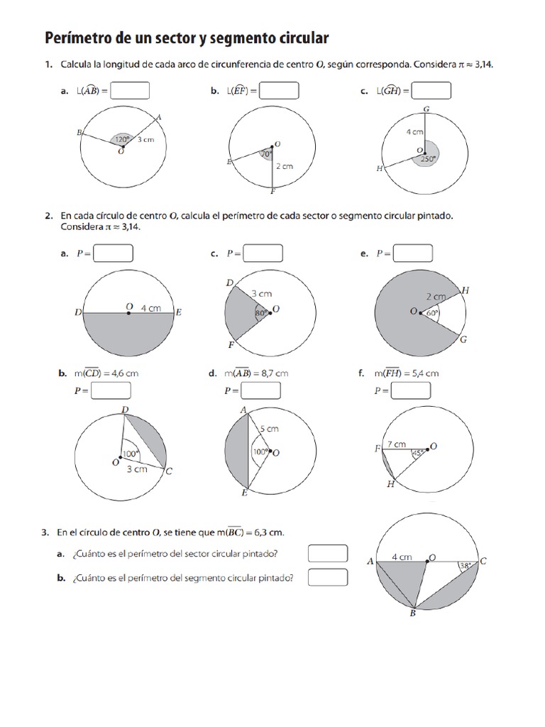 Guía Perímetro Sector y Segmento Circular | PDF