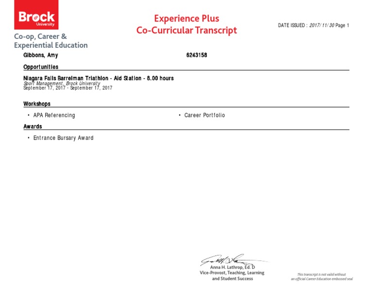 Experience Plus | PDF