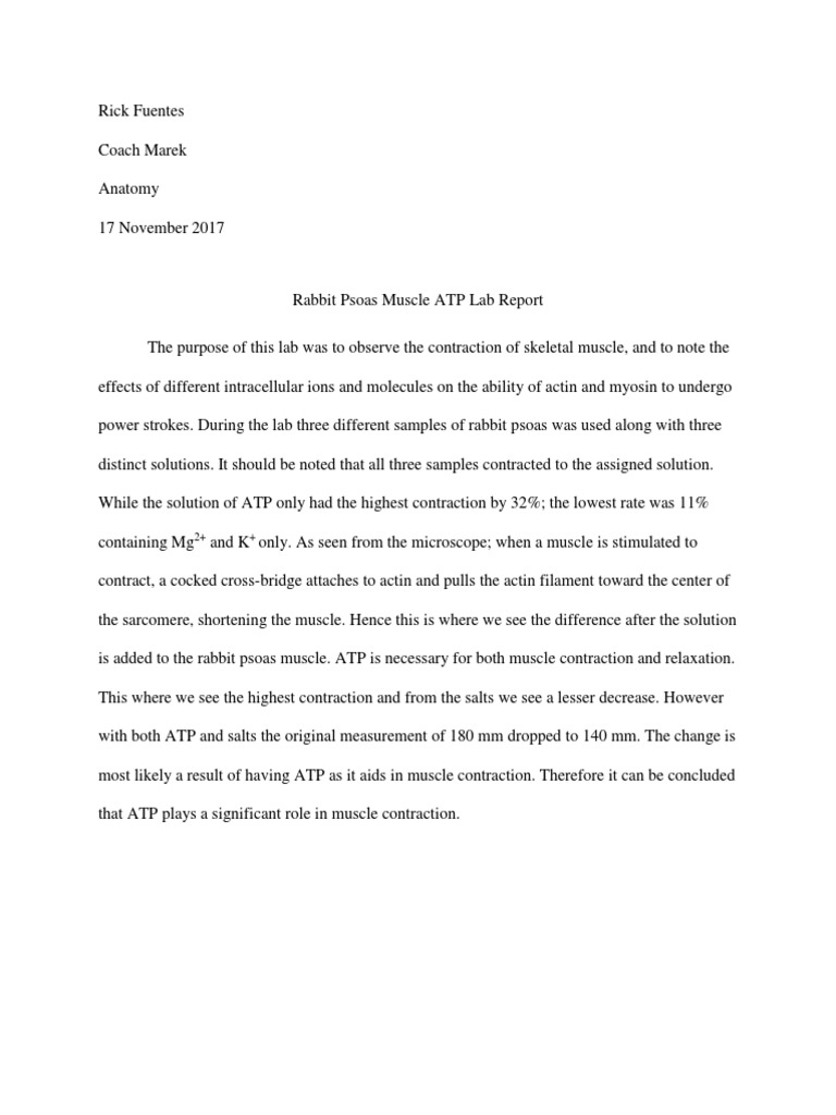 Rabbit Psoas Muscle Atp Lab Report | PDF