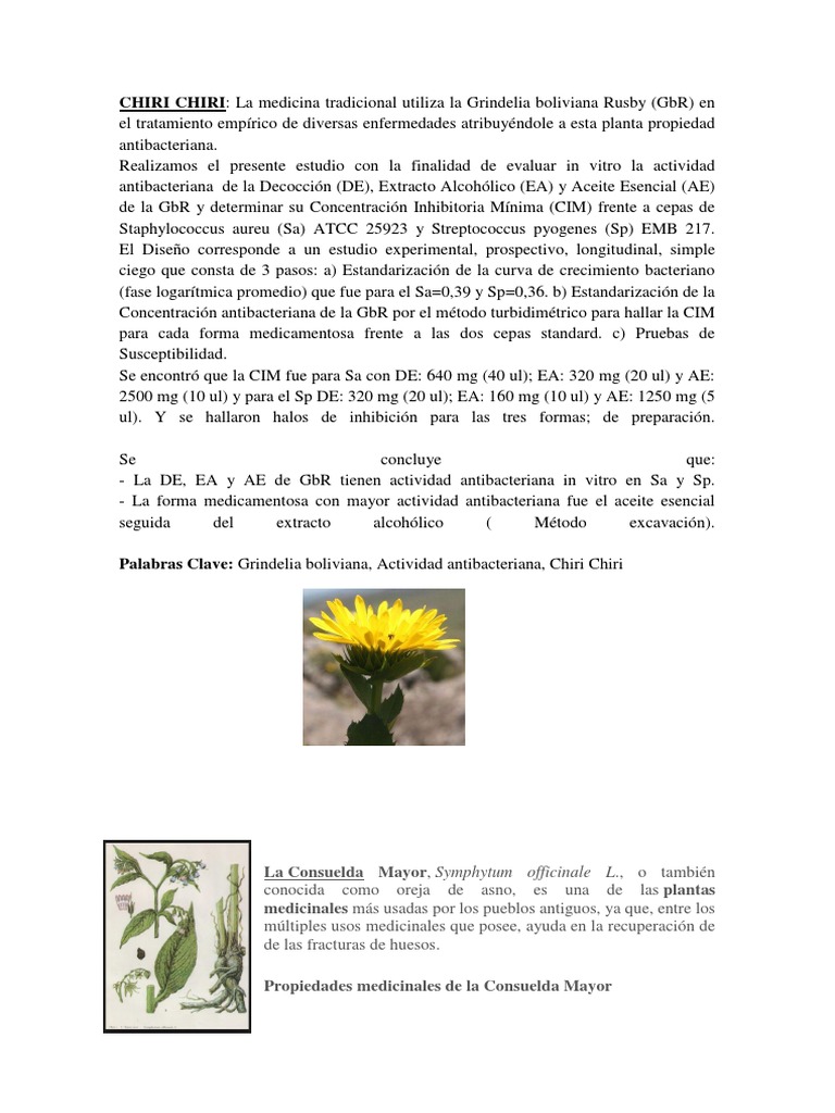 Chiri Chiri | PDF | Riñón | Antibióticos