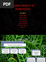 Western Java Rain Forests | PDF | Forests | Rainforest