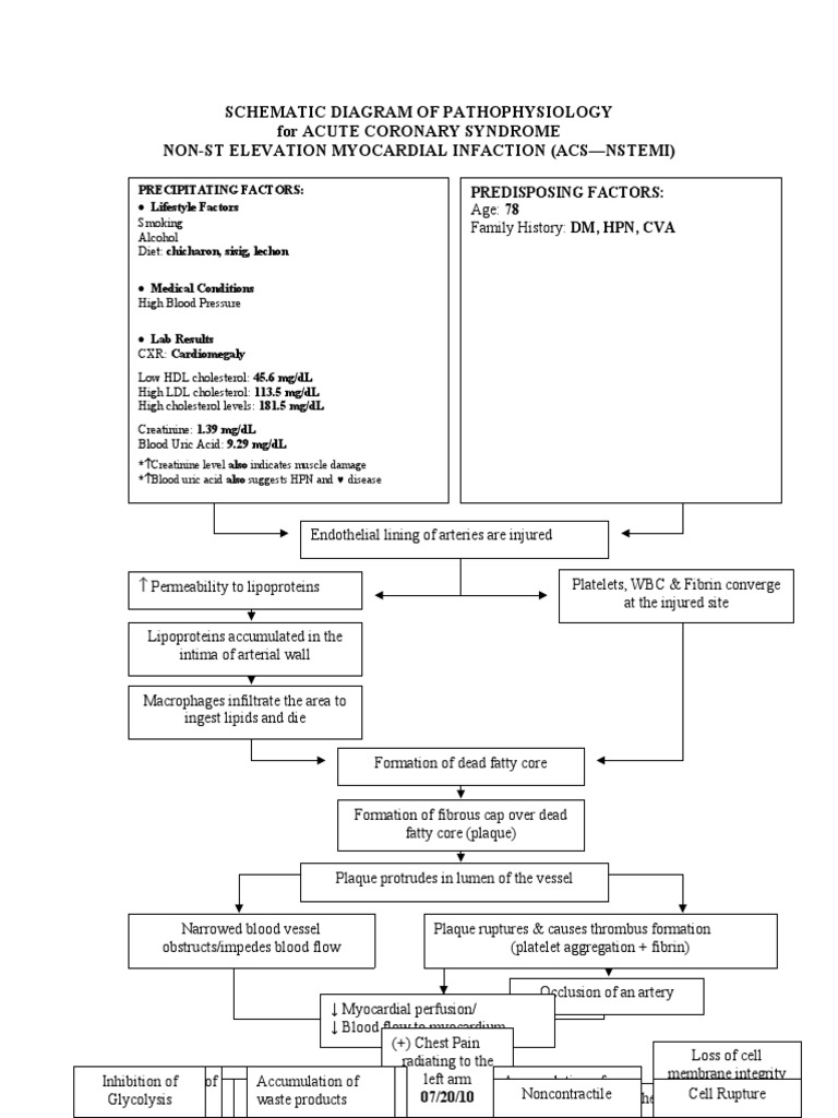 Schematic Diagram of Pathophysiology For Acute Coronary Syndrome Non-St ...