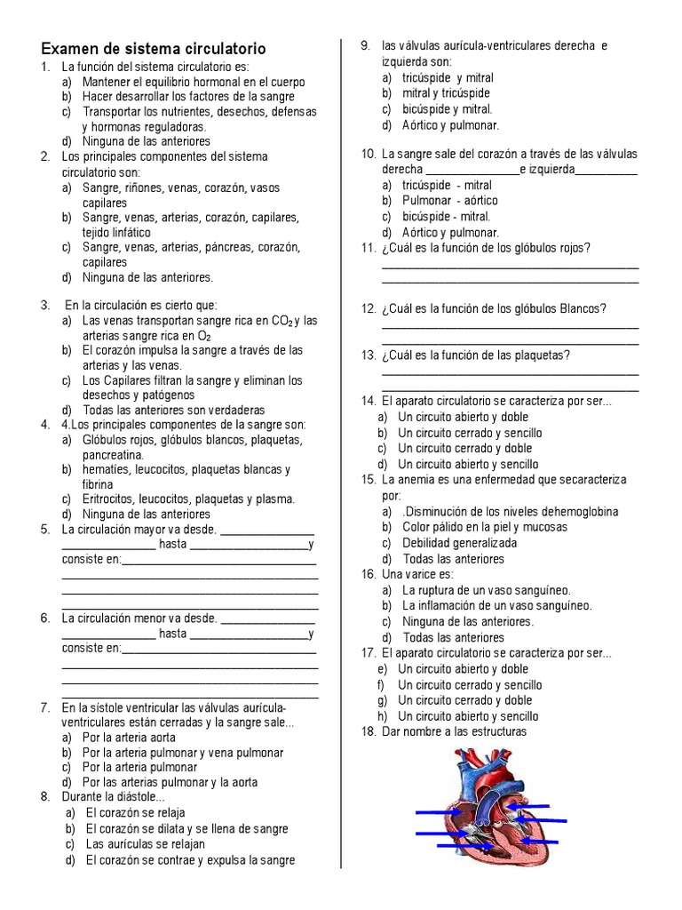 Examen de Circulatorio | PDF | Sistema circulatorio | Sangre