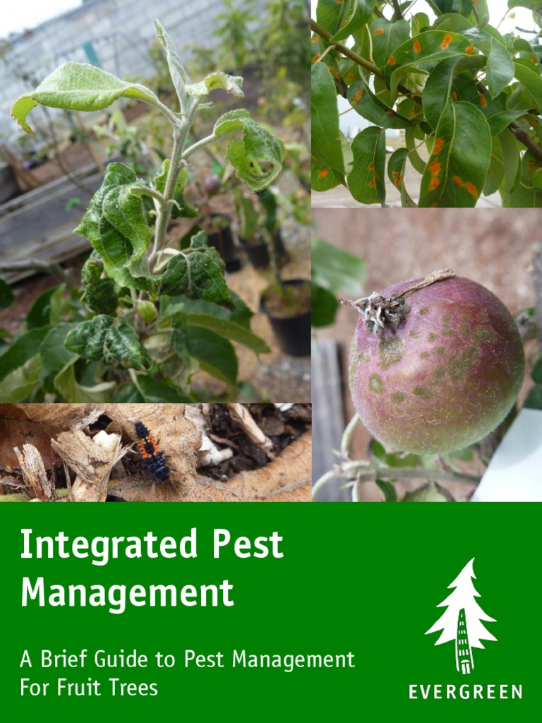 Fruit Tree Pest Management | PDF | Pesticide | Agriculture