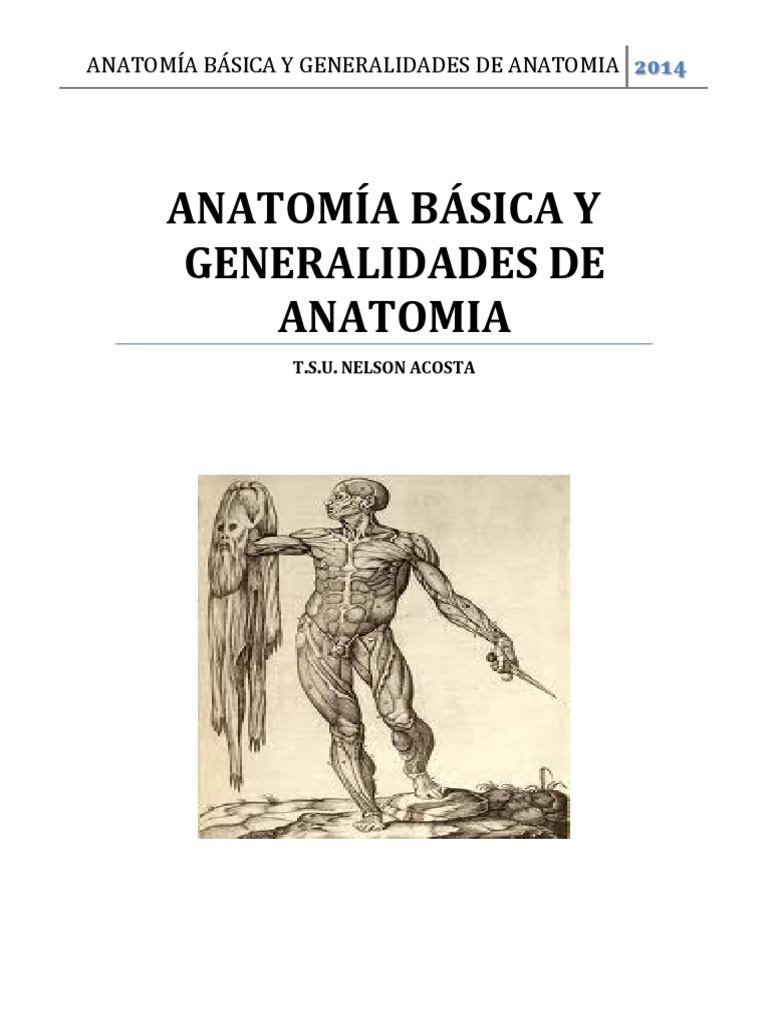 Anatomia Basica y Generalidades de Anatomia. | PDF | Términos ...