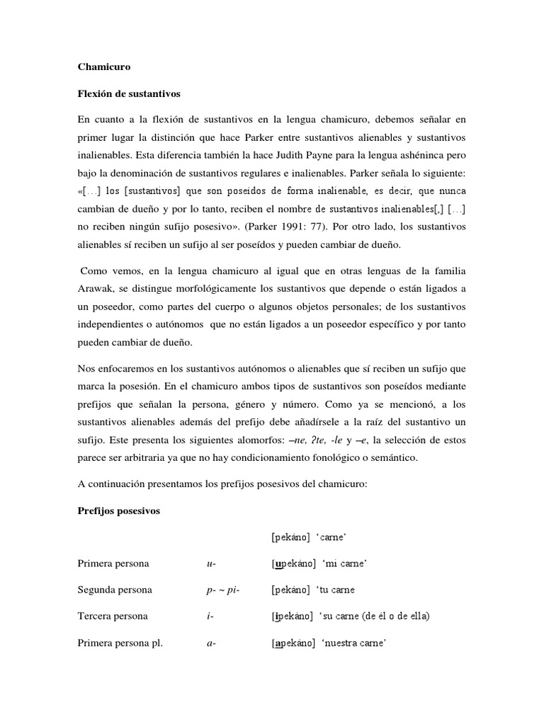 Chamicuro Amazónica | PDF | Sustantivo | Idiomas