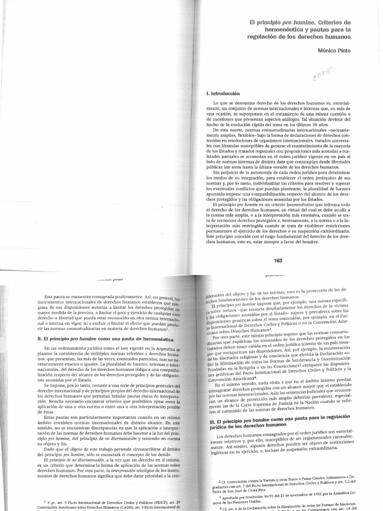 247 El Principio Pro Homine - Criterios de Hermenéutica y Pautas para ...