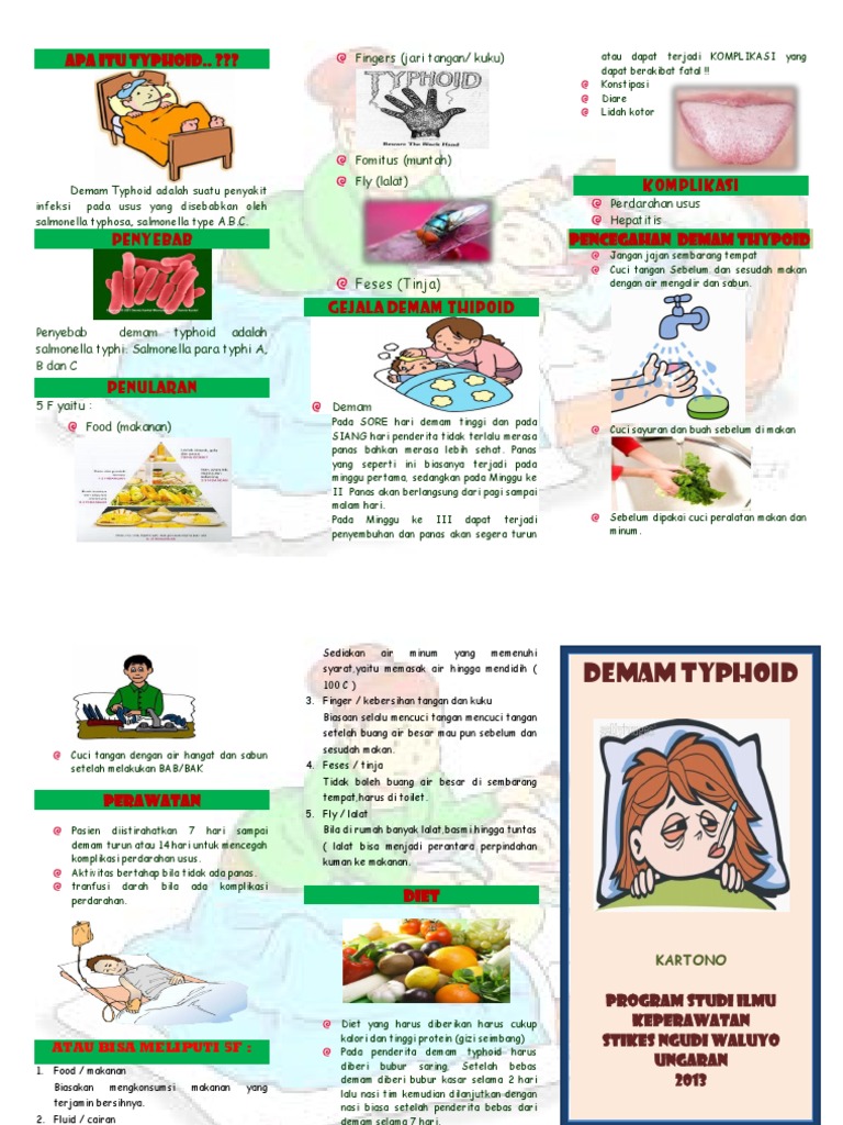 Leaflet Tifoid | PDF