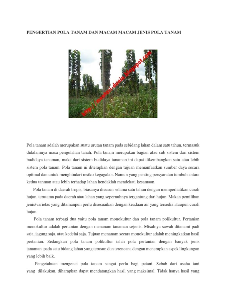 Pengertian Pola Tanam Dan Macam Macam Jenis Pola Tanam | PDF