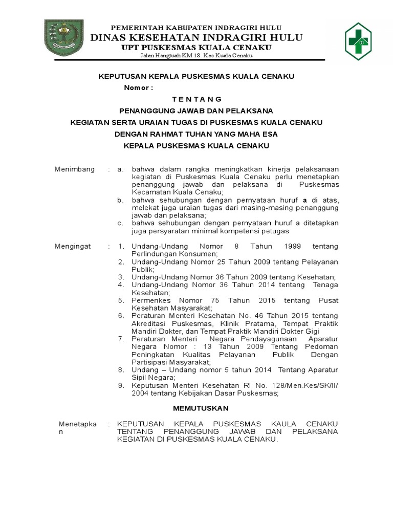 SK Penanggung Jawab Program PROMKES | PDF