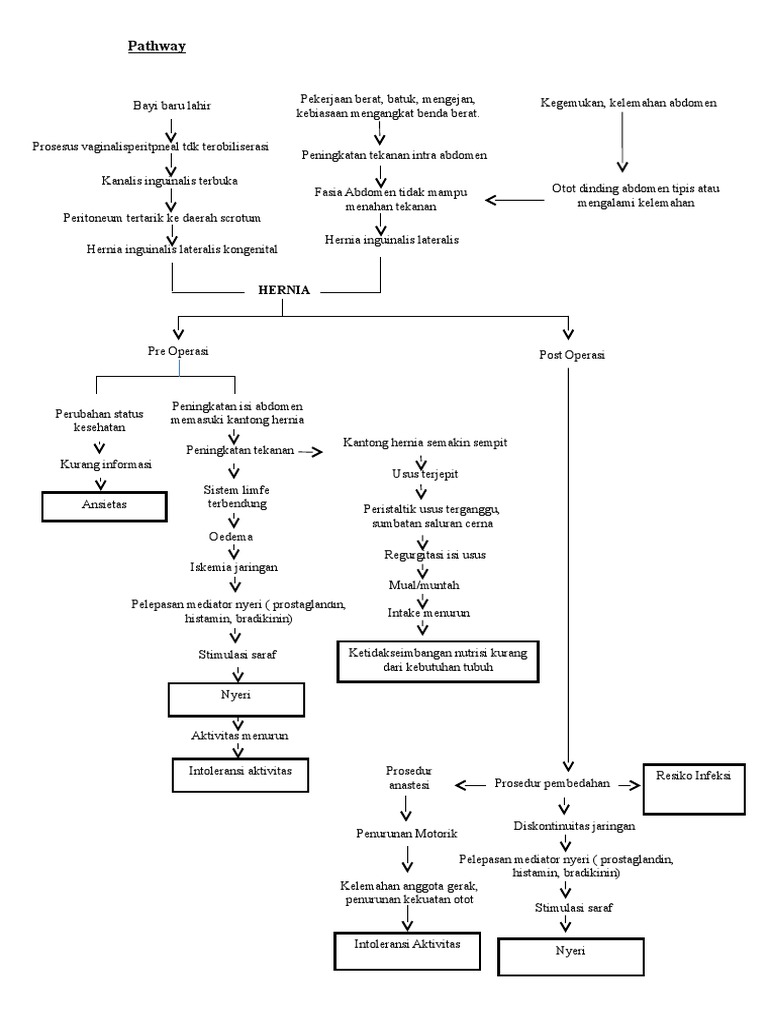 Pathway Hernia | PDF