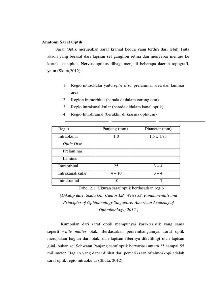 Anatomi Saraf Optik | PDF