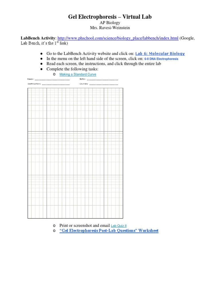 Ap - Gel Electrophoresis Virtual Lab Modified | PDF