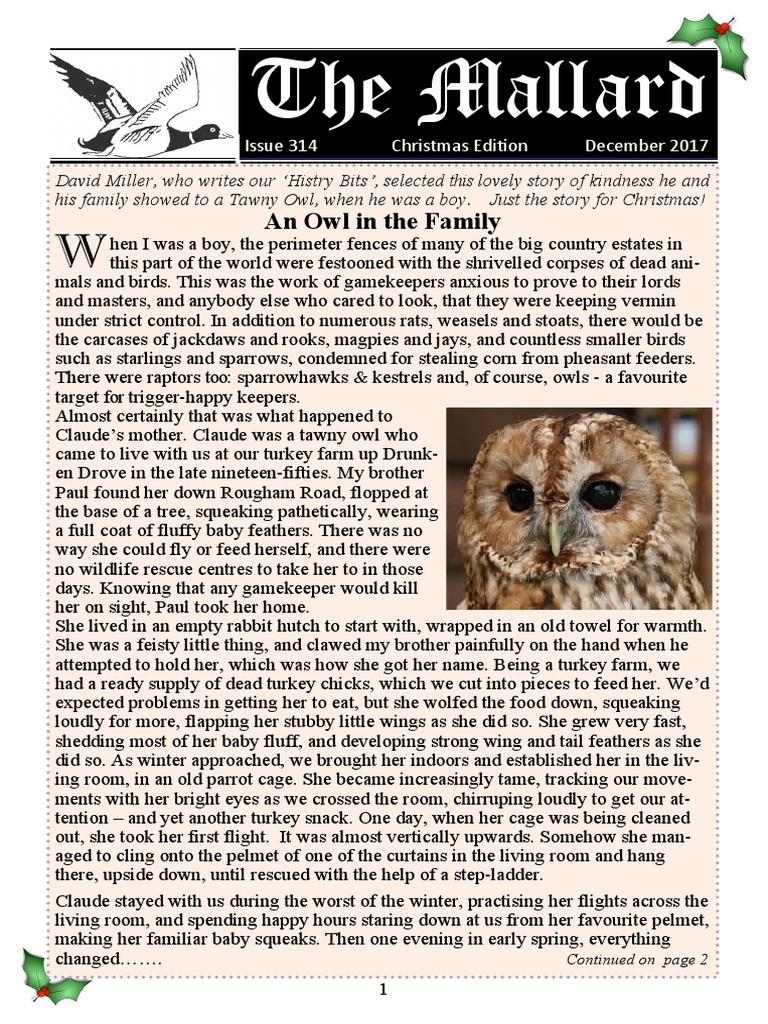 "THE MALLARD" December 2017 | PDF | Advent | Christmas