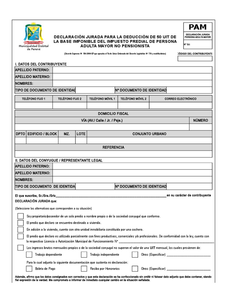 Formato PAM | PDF | Gobierno